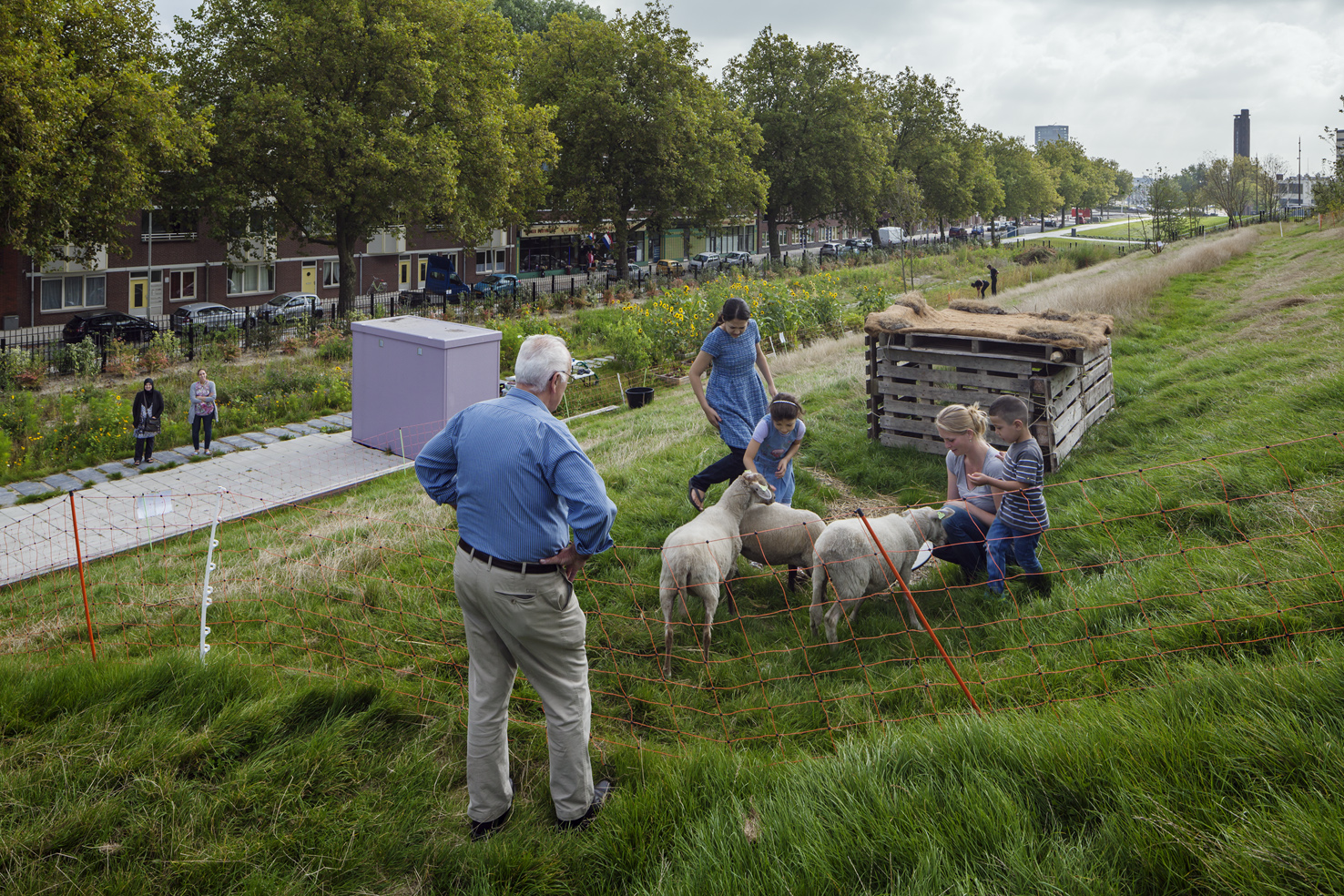 Dakpark – Meriam Beek